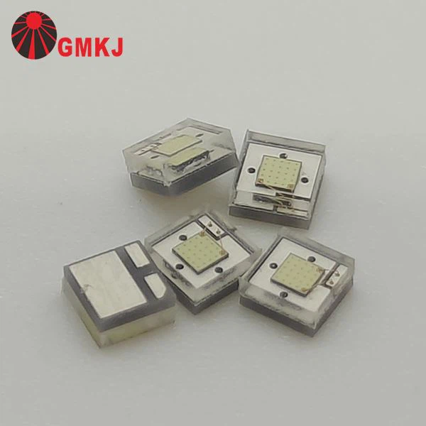 China Ceramic Pkg Green 3W 4W 5W 2020 SMD LED Chip Manufacturers ...